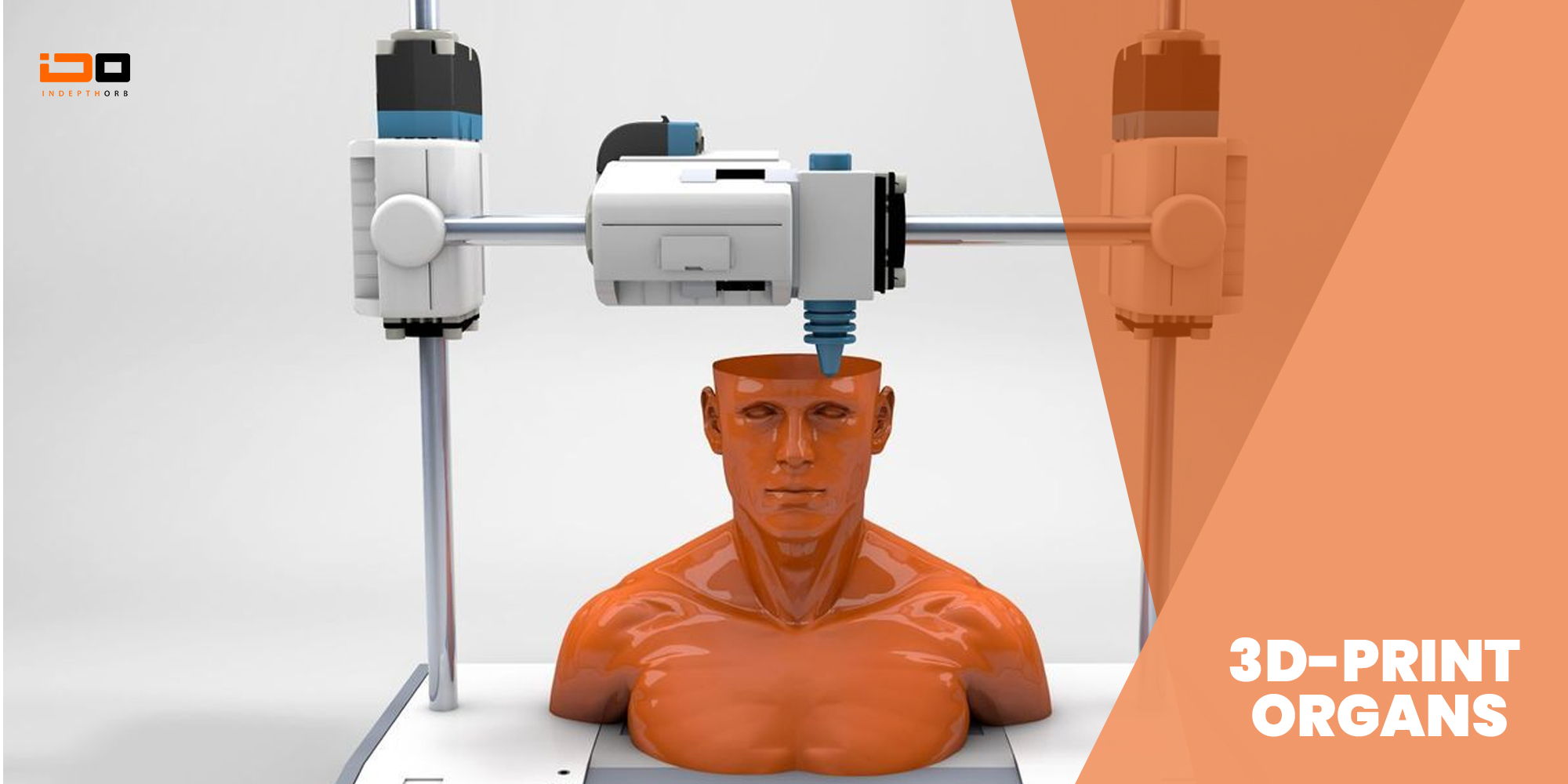 3D-print organs - Indepthorb